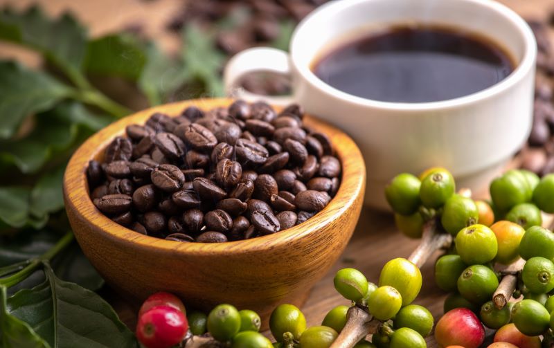 White Mountain Gourmet Coffee